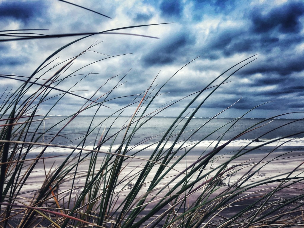 How to Gain a New Perspective